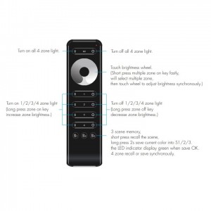 LED 4 Zone DImmer RF Remote